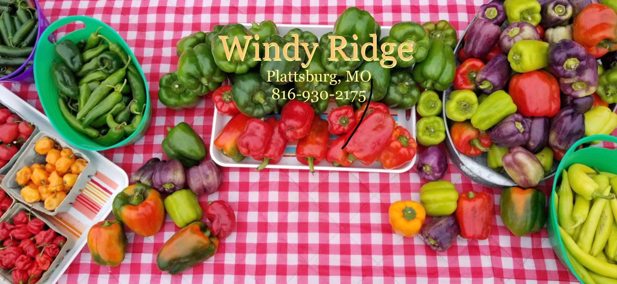 Windy ridge greenhouse and produce Plattsburg Missouri fresh homegrown ...